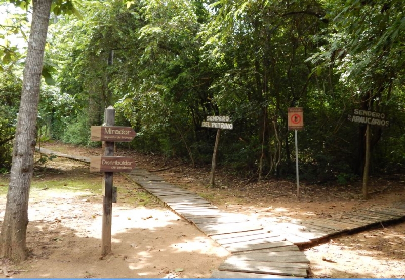 Info Bosque Petrificado de Puyango | Turismo Loja - Ecuador