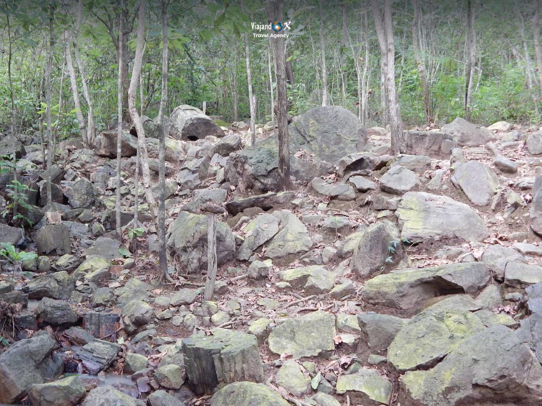 Bosque Petrificado de Puyango Ecuador