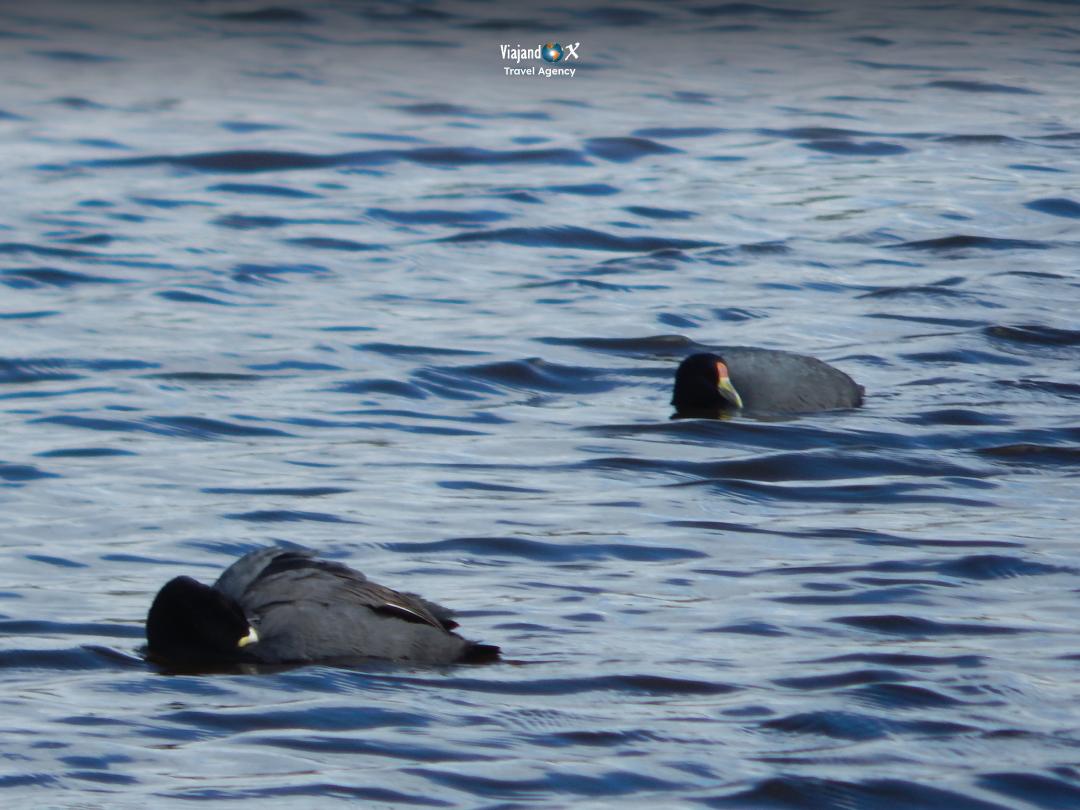 Laguna de Colta Ecuador