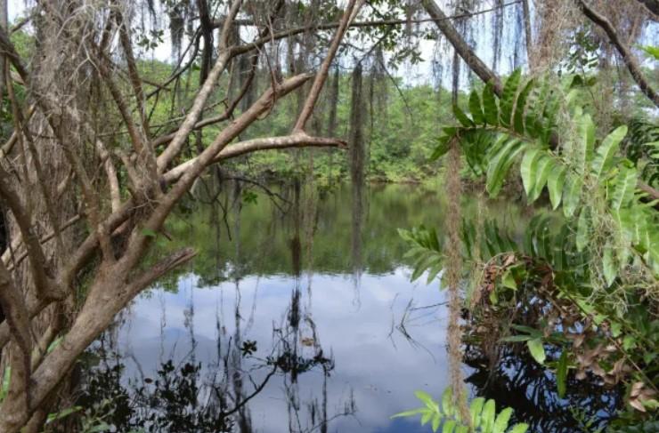 Reserva Ecológica Arenillas El Oro - Ecuador