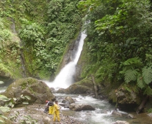 Limón Indanza Ecuador